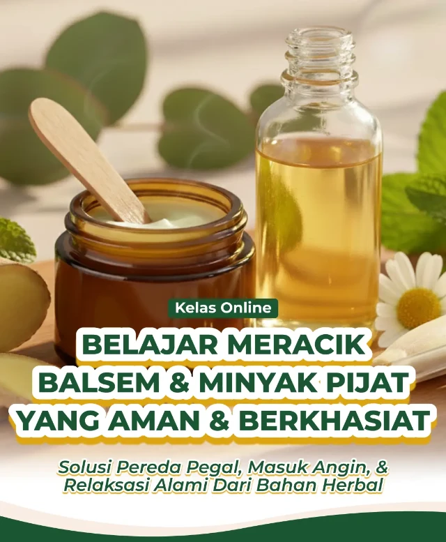 membuat balsem & minyak pijat